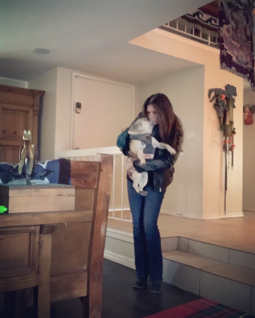 Letting Go of 2020 – LifeForce Activation