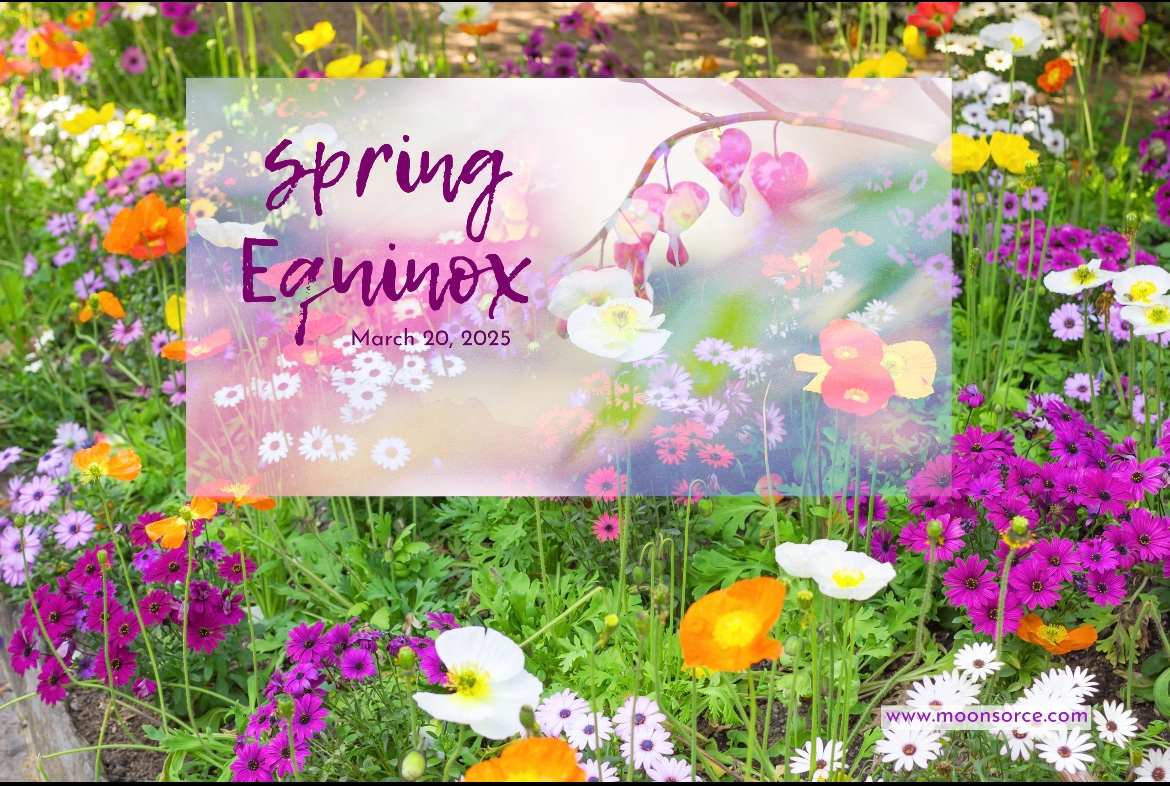 Spring Equinox – LifeForce Activation
